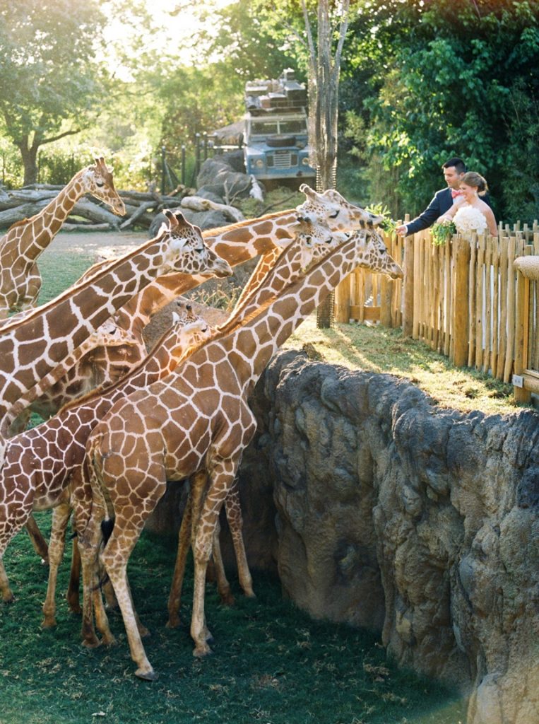 Unique Dallas Wedding Venues to Explore for Your Big Day