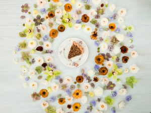 Hannah Bitting & Jake Bitting